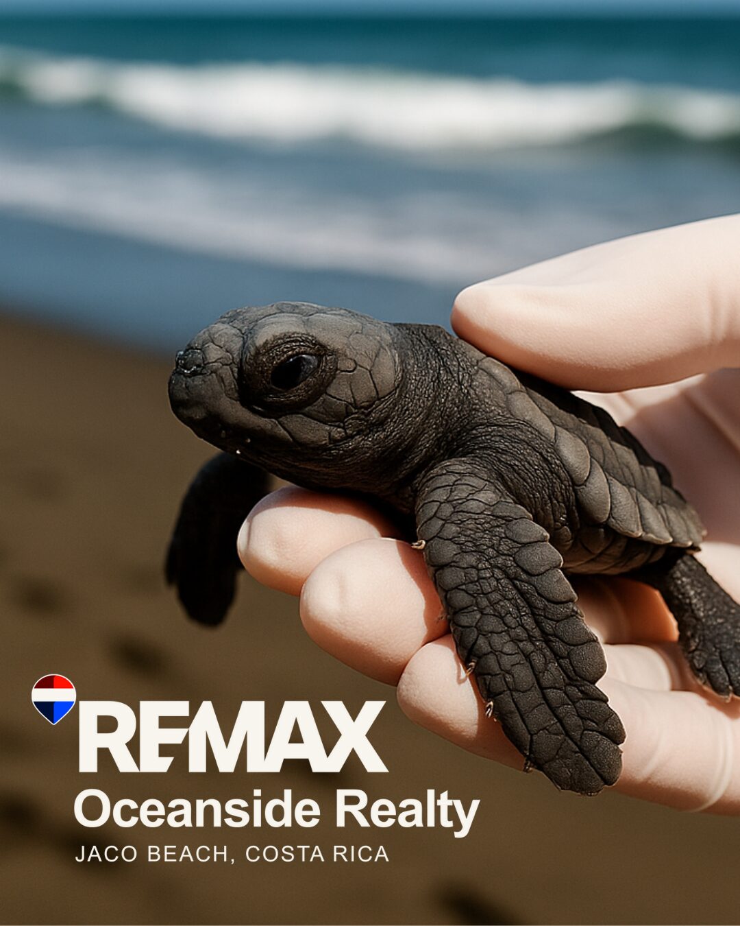 Costa Rica Green Season | RE/MAX Jaco Beach Costa Rica Real Estate